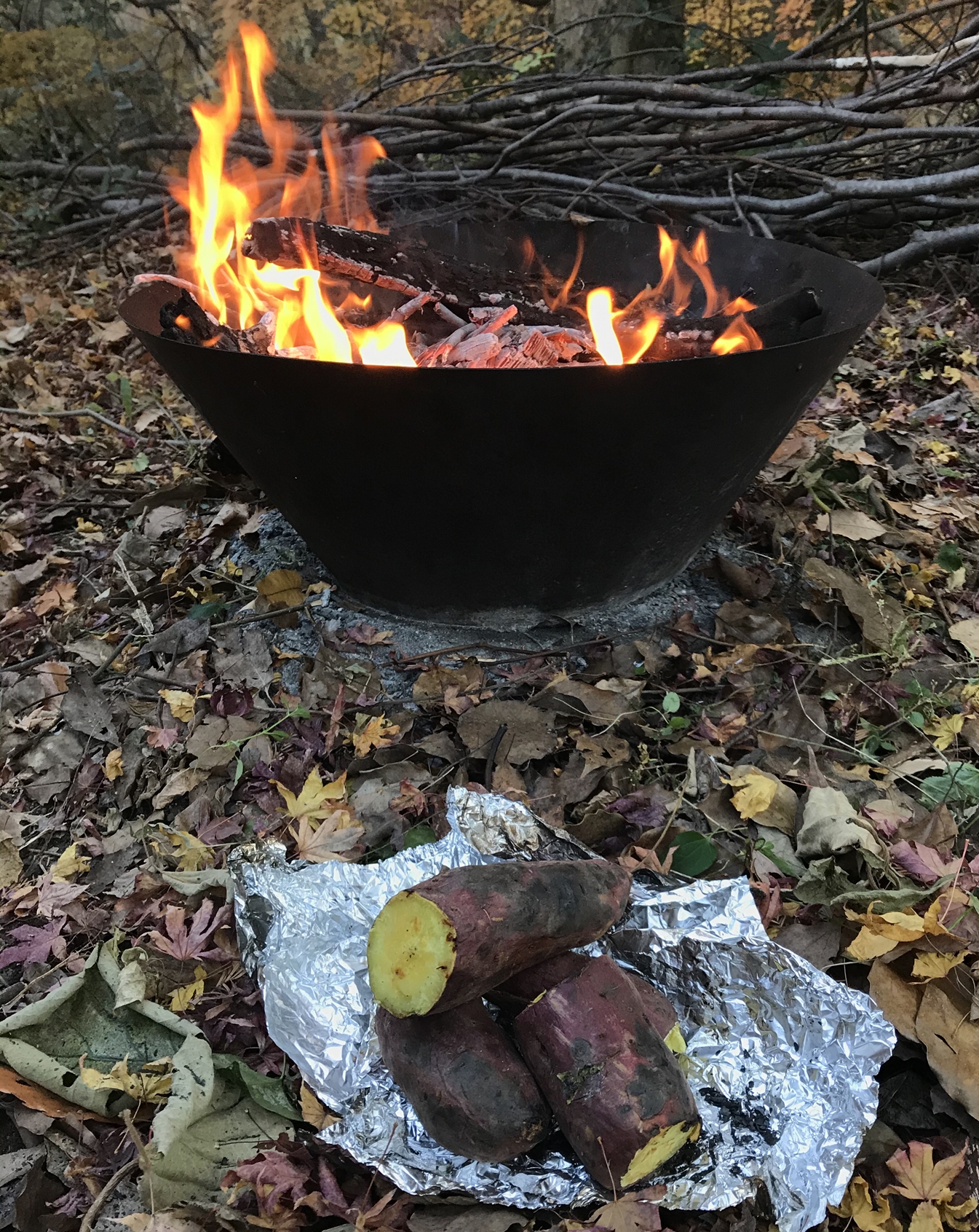 甲山テニス焼き芋a91216 – sakura-techno