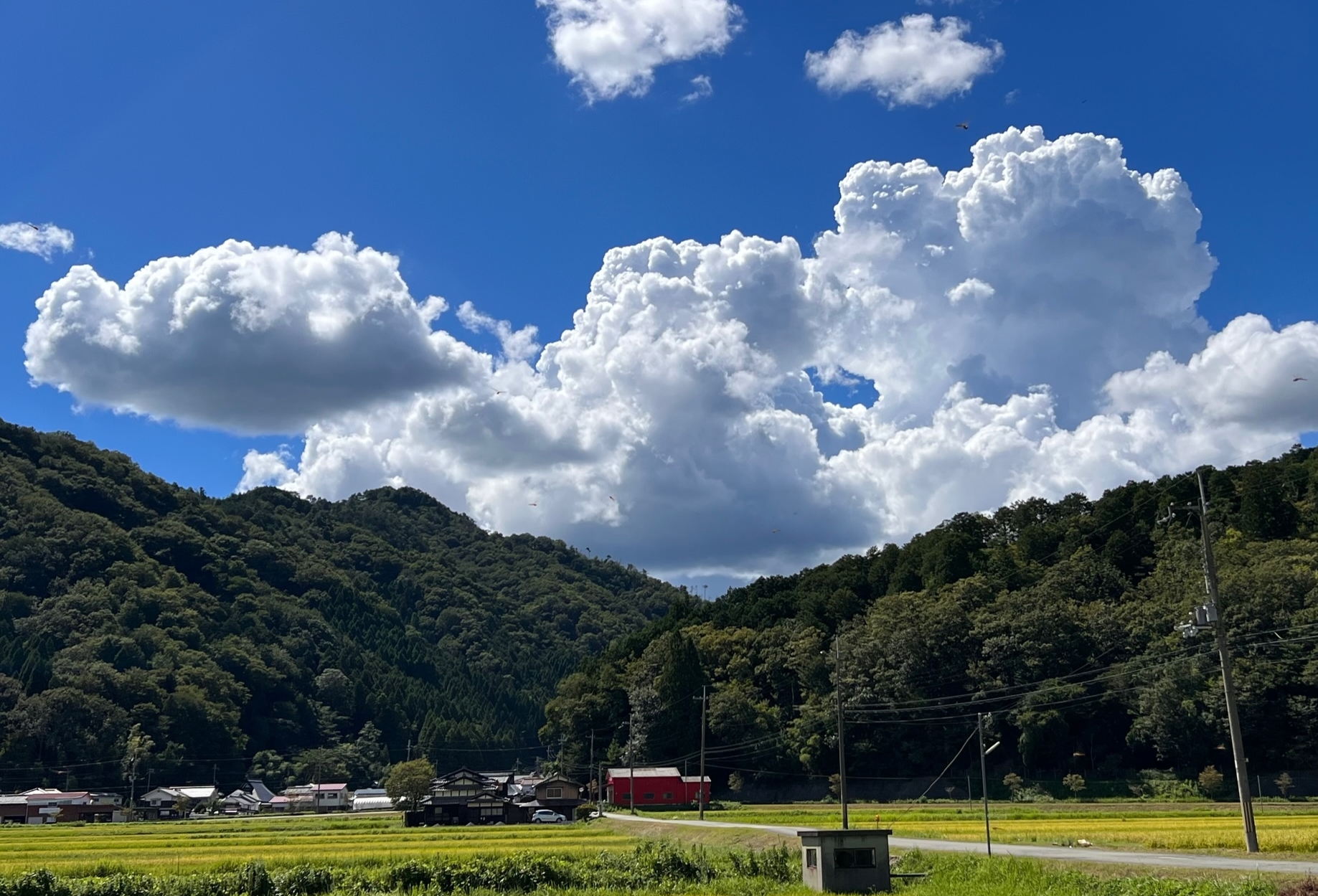 篠山雲aa230903 – sakura-techno