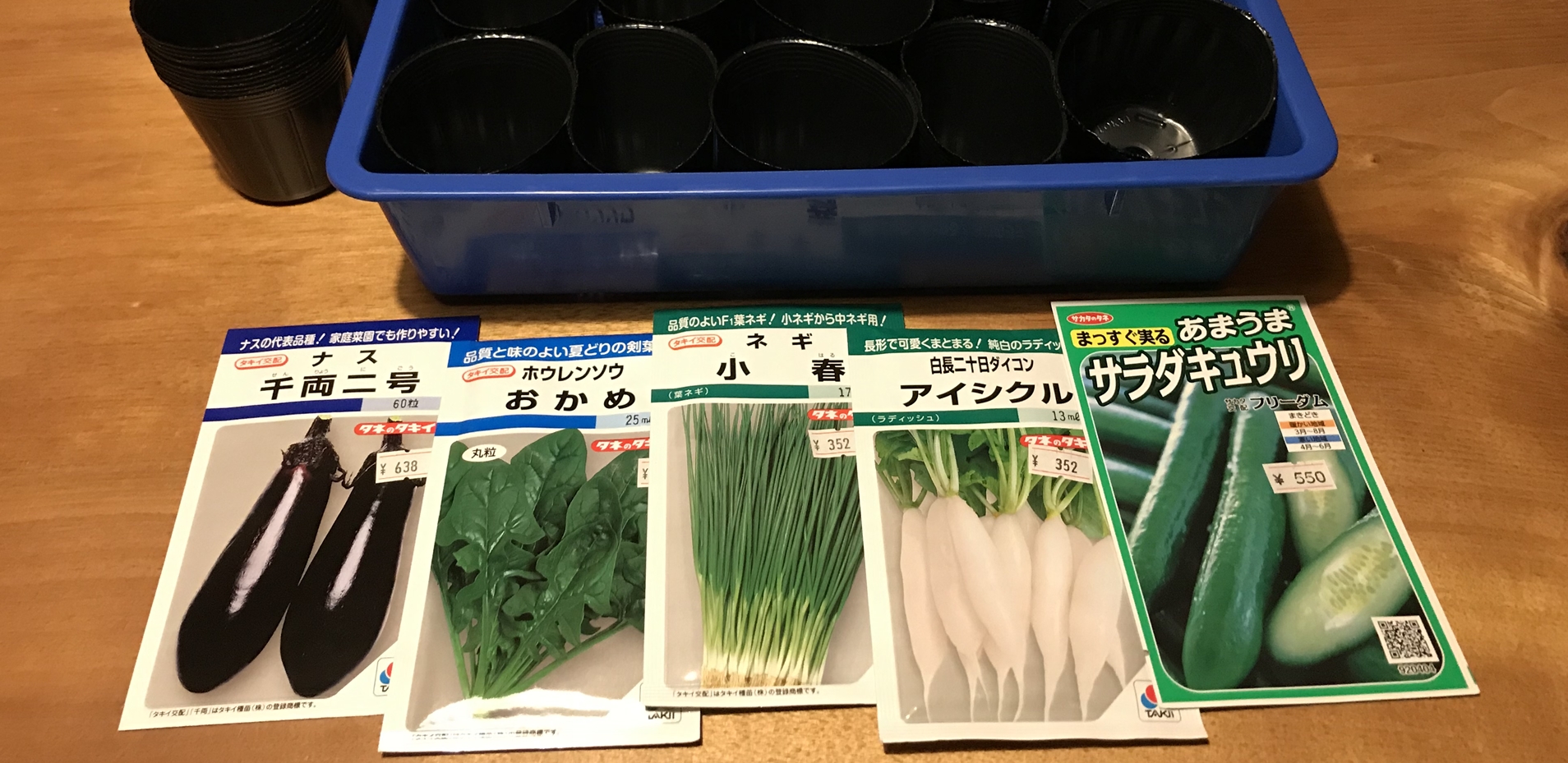 菜園②b200316 – sakura-techno