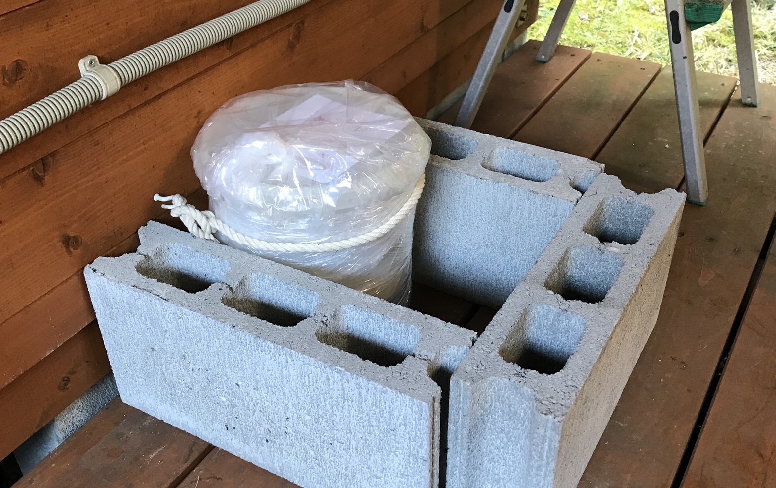 一人ぼたん鍋b230127 – sakura-techno